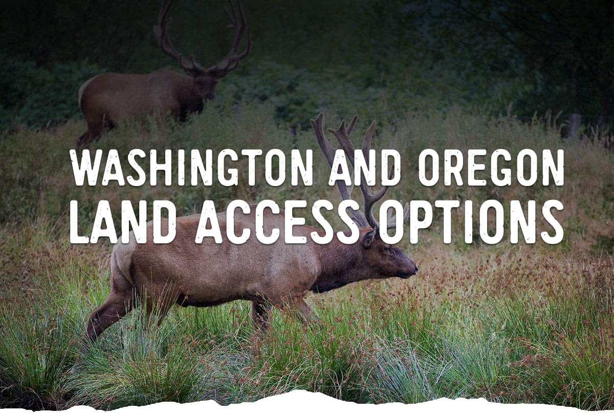 Rayonier Hunting | Learn More