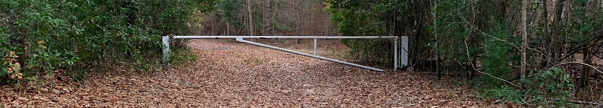 Rayonier Hunting | Learn More