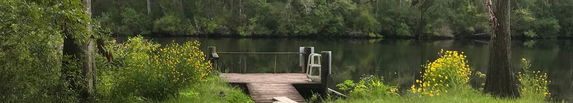 Member Benefits | Rayonier Hunting