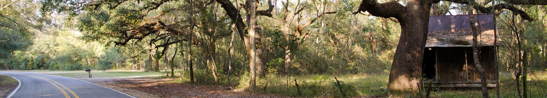 Rayonier Hunting | Learn More