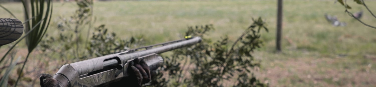 Where are Rayonier Properties Located?